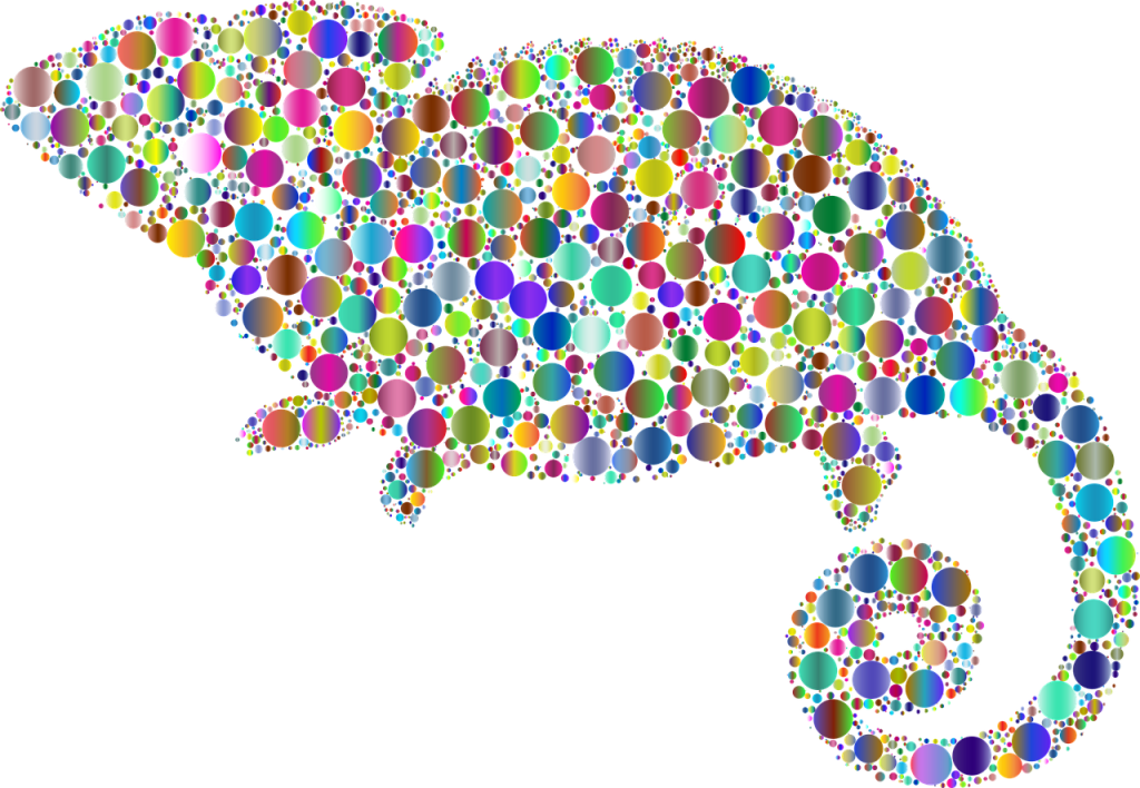 NVA - Camoufleren - doen alsof je geen autisme hebt