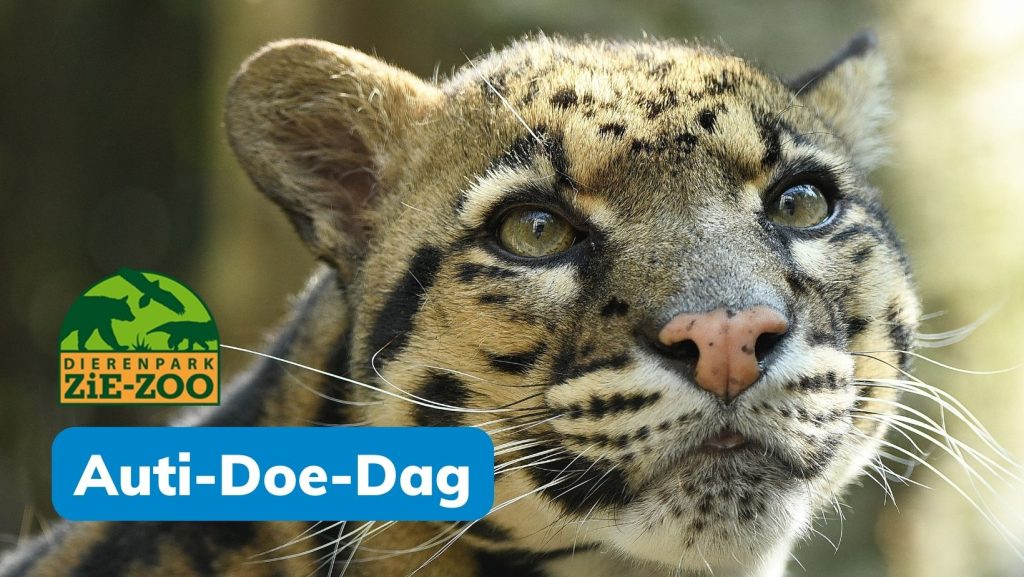 NVA - Terugblik Auti-Doe-Dag Dierenpark ZiE-ZOO